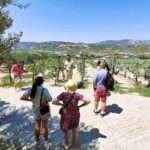 Crete: Knossos Palace, Winery & Olive Oil Tour with Lunch - Why This Tour Represents Good Value
