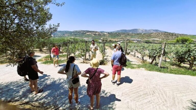 Crete: Knossos Palace, Winery & Olive Oil Tour with Lunch - Why This Tour Represents Good Value