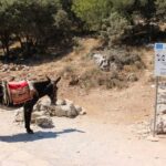 Crete: Land Rover Safari Through the Plateaus - Transportation and Comfort
