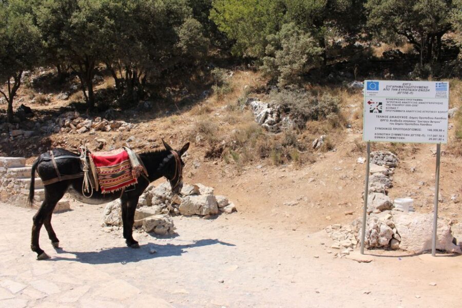 Crete: Land Rover Safari Through the Plateaus - Transportation and Comfort
