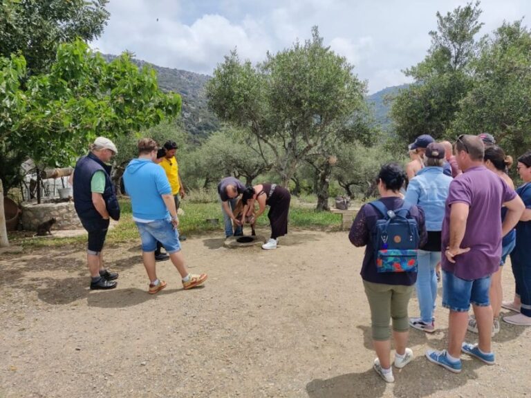 Crete: Lasithi Plateau and Cave of Zeus Off Road Safari Tour - The Itinerary: A Day Packed with Diversity
