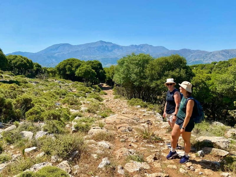 Crete: Lassithi Plateau Guided Hiking Tour - What to Expect from the Tour