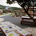 Crete: Road-trip to Lasithi Plateau & Olive Mill Farm - The Itinerary Breakdown: What Makes Each Stop Special?