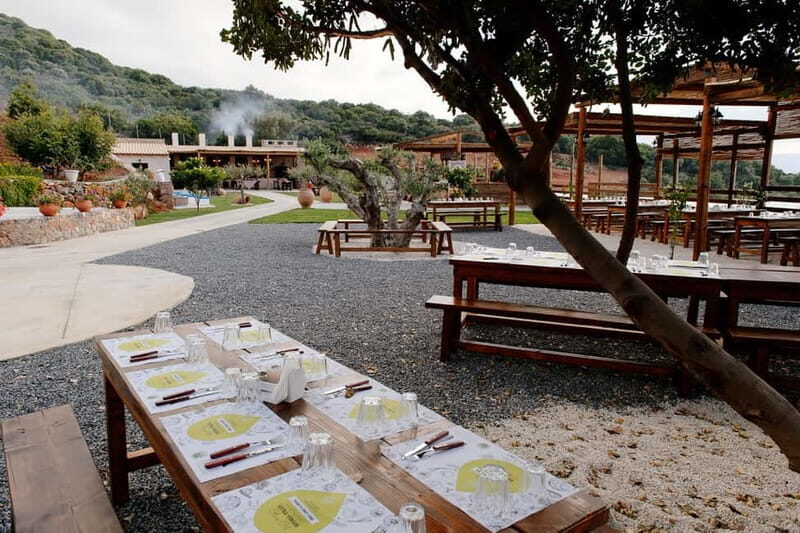 Crete: Road-trip to Lasithi Plateau & Olive Mill Farm - The Itinerary Breakdown: What Makes Each Stop Special?