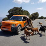 Crete: Sarakina Gorge, Forests, and South Coast Safari - The Sum Up