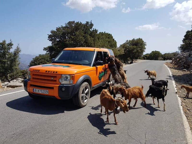 Crete: Sarakina Gorge, Forests, and South Coast Safari - The Sum Up