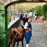 Crete: Traditional Cretan Night: Live Show and Dinner - The Dining Experience in Detail