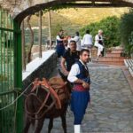 Crete: Traditional Dance Show and Buffet Dinner with Wine - What to Expect: An Evening in a Traditional Cretan Village
