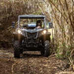 cross country - Practical Details and Value