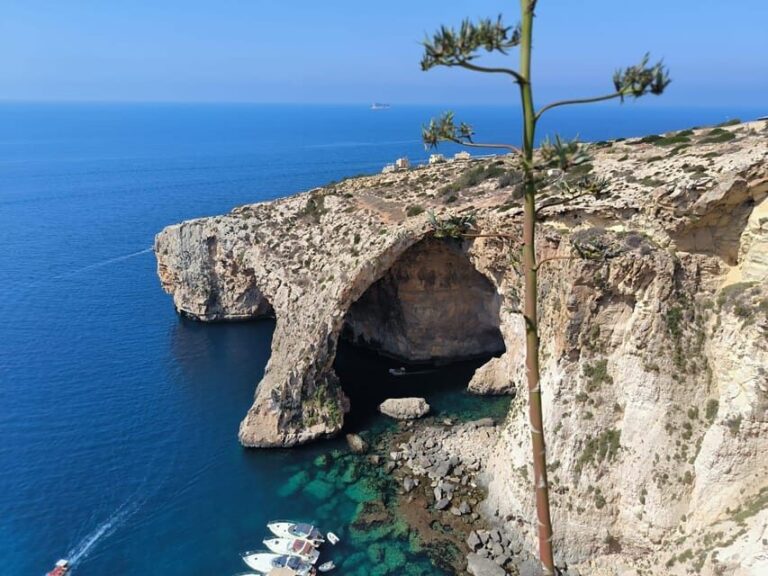 Cruise ships malta 5hours customised excursions - A Deep Dive into the Malta Private Tour Experience