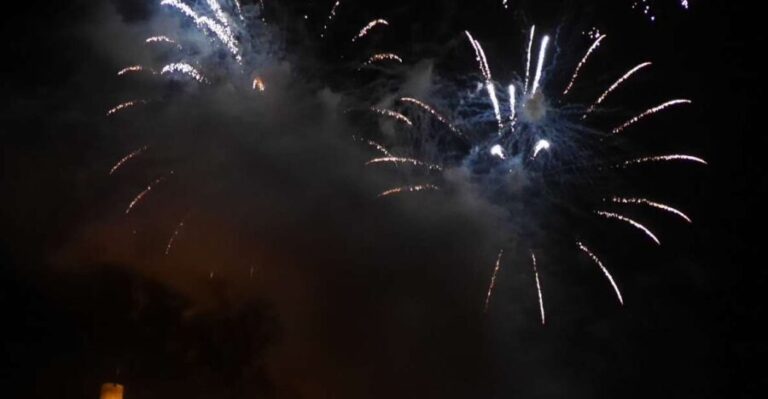 Cruise to the fireworks of Winninger vinefestival - Who Should Consider This Cruise?