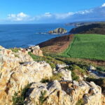 Cudillero, Aviles and Faro de Cabo Peñas tour from Oviedo - The Value and Practicalities