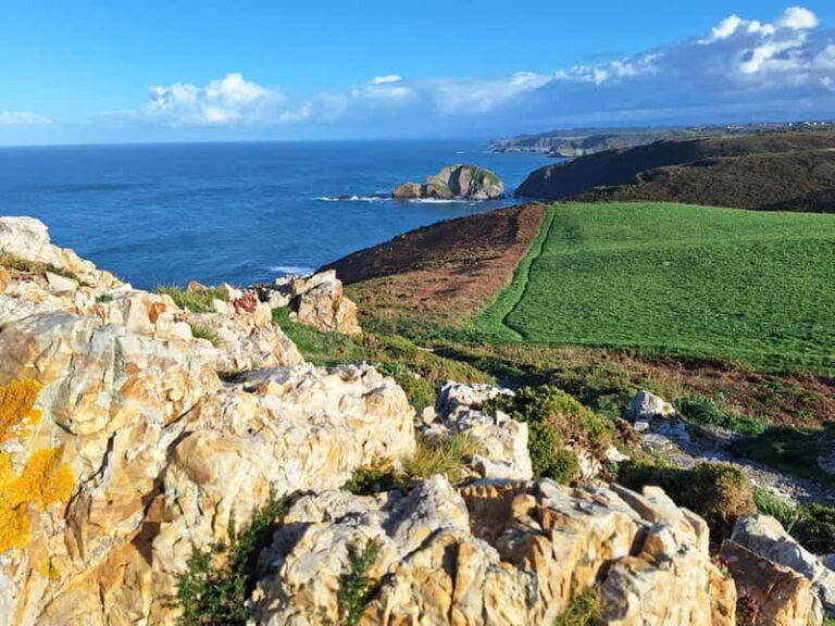 Cudillero, Aviles and Faro de Cabo Peñas tour from Oviedo - The Value and Practicalities
