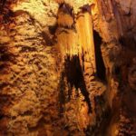 Cueva Canelobre and village Busot tour from Alicante and Campello - Final Thoughts: Who Would Enjoy This Tour?