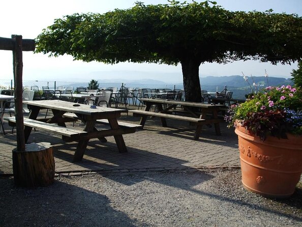 Culinary Tour from Zurich with Traditional Swiss Cheese Fondue Dinner - Key Points