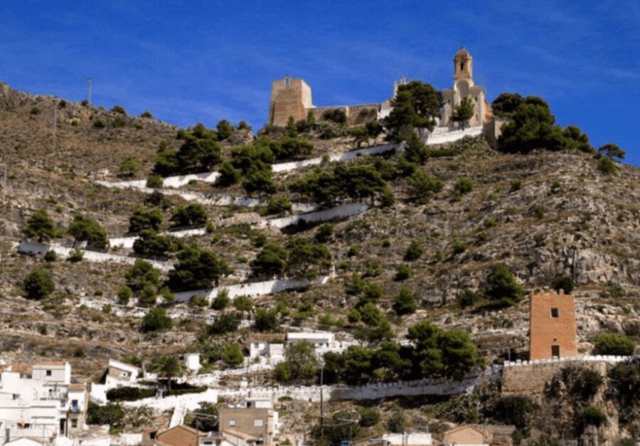 Cullera: History, Beach, and the boat trip to the Albufera - Who Will Enjoy This Tour Most?