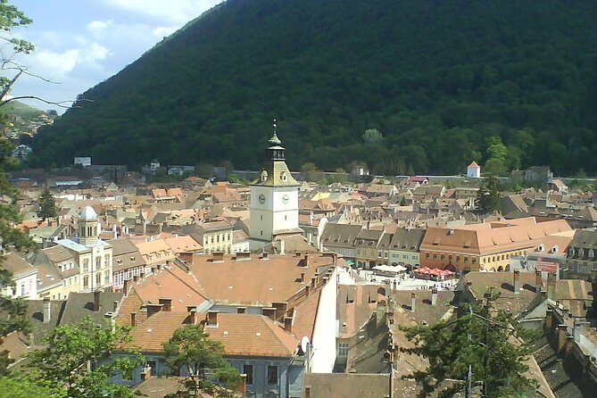 Cultural Day Trip to Transylvania including Peles Castle & Bran Dracula's Castle - Key Points