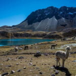 Cusco: 7 Lagoons of Ausangate Full Day - Key Points