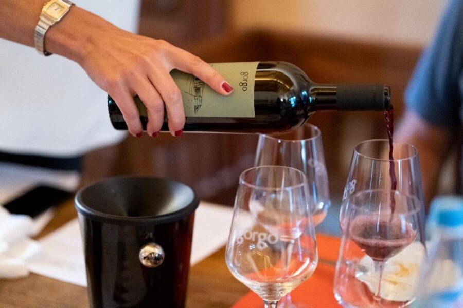 Custoza: Organic Wine Tasting with Vineyard and Cellar Tour - What Makes This Tour Stand Out?