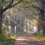 Cycle tour: Guided cycle tour with yoga in the great outdoors - Who Will Appreciate This Tour?