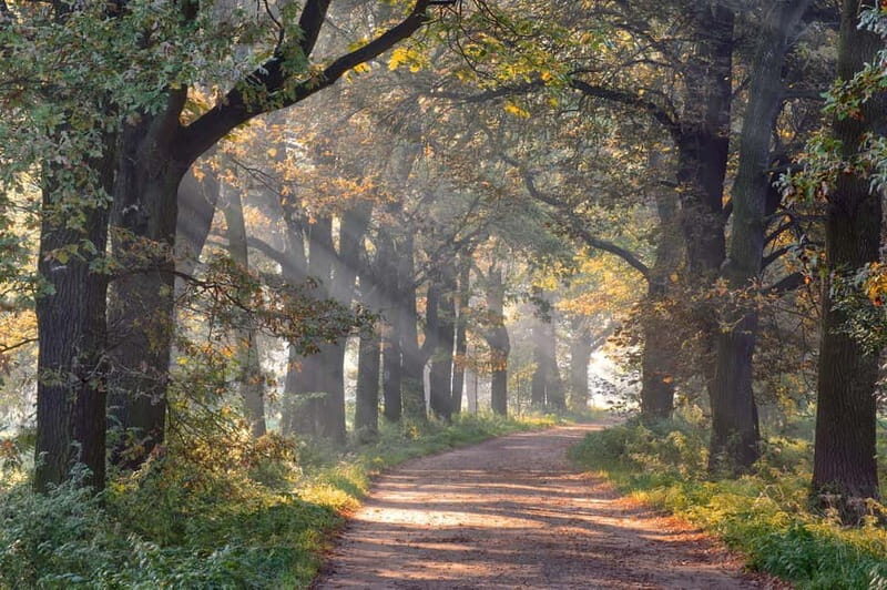 Cycle tour: Guided cycle tour with yoga in the great outdoors - Who Will Appreciate This Tour?