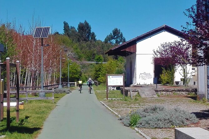 Cycling Ecopista do Dão One Way, full-day from Coimbra - A Closer Look at the Ecopista do Dão Full-Day Tour