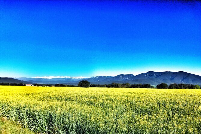 Cycling in the Green Ways and Country Roads of Girona - What’s Included and What to Consider