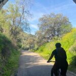 Cycling - Via Verde de la Sierra - Easy Difficulty - Ronda - The Value of the Experience