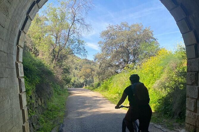 Cycling - Via Verde de la Sierra - Easy Difficulty - Ronda - The Value of the Experience