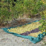 Cyprus: Troodos Mountains Villages and Wineries Tour - Exploring the Itinerary in Detail