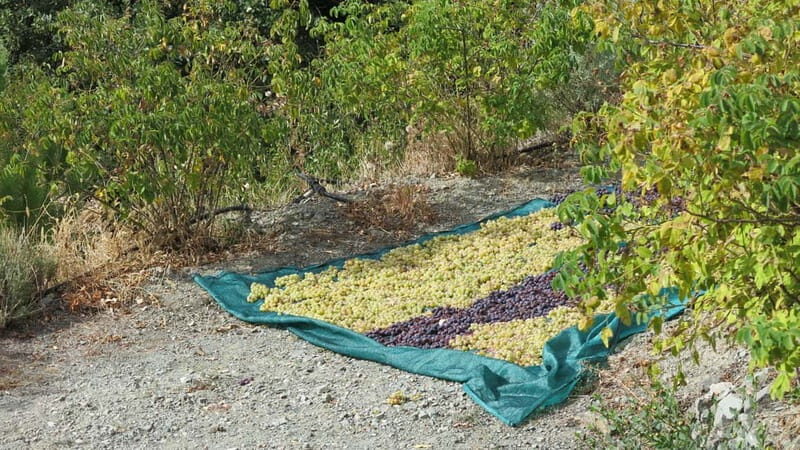 Cyprus: Troodos Mountains Villages and Wineries Tour - Exploring the Itinerary in Detail