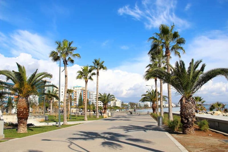 Cypruss History and Charm: Full-DayPrivate Tour from Paphos - Why Does This Tour Offer Good Value?
