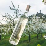 Czech Vineyards and Wine Tasting 4WD Tour with Lunch - Practical Details and Why They Matter
