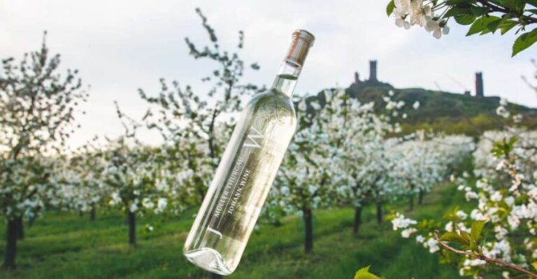 Czech Vineyards and Wine Tasting 4WD Tour with Lunch