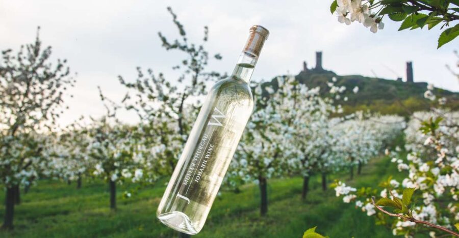 Czech Vineyards and Wine Tasting 4WD Tour with Lunch - Practical Details and Why They Matter