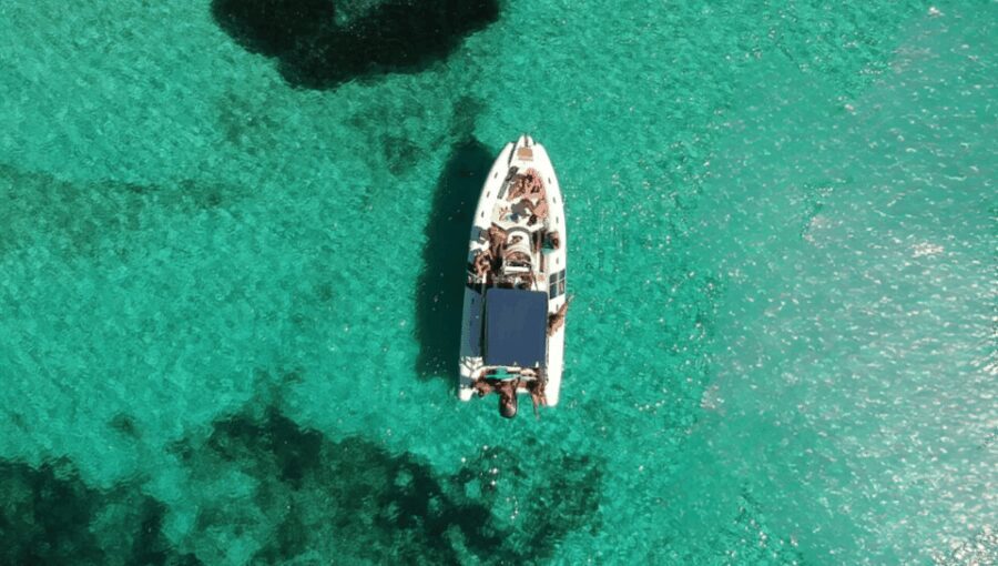 Da Trapani: Escursione alle isole Egadi Favignana & Levanzo - Price & Value Considerations