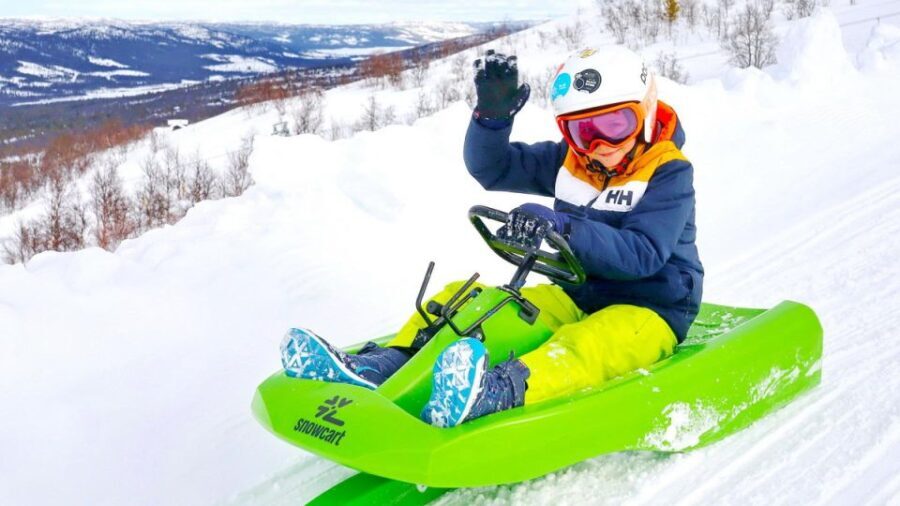 Dagali: 2-Hour Racing Toboggan Adventure - Who Will Love This Experience?