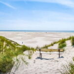 Dagebüll: Daytrip by boat to Amrum - Detailed Itinerary Breakdown