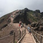 Daily Excursion Full Day 8 Hours ( Vesuvio Pompei) - Overview of the Experience
