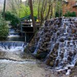 Daily Sapanca Lake & Masukiye Tour - Group Tour Basis - Why This Tour Is a Good Deal