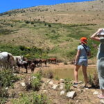 Daily Trip To:Blue Eye,Monastery,Gjirokaster&Lekursi Castle - What’s Included and What’s Not