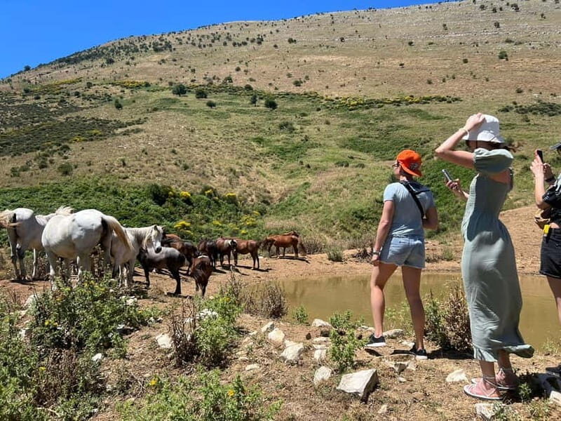 Daily Trip To:Blue Eye,Monastery,Gjirokaster&Lekursi Castle - What’s Included and What’s Not