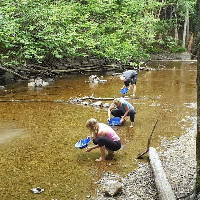 Dals Långed: Gold Panning Experience - Who Should Consider This Tour?