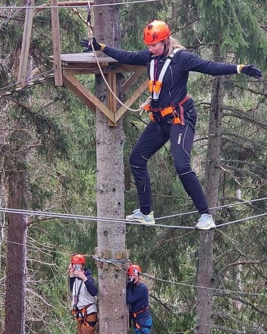 Dals Långed: High Ropes Adventure for Adults and Kids - The Scenic Forest Setting