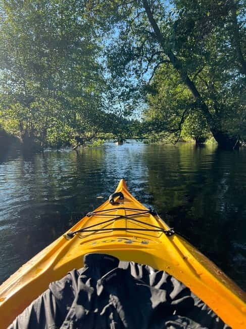 Dals Långed: Steneby River Kayaking Tour - The Allure of the Steneby River Kayaking Experience