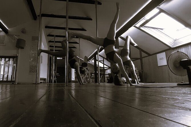 Dance Class (choose 1: Pole Dance, Burlesque or Aerial Silk/Hoop) - The Variety of Classes on Offer