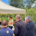 Dare to Alsace Wine with a Feminine Touch - Who Should Consider This Tour?