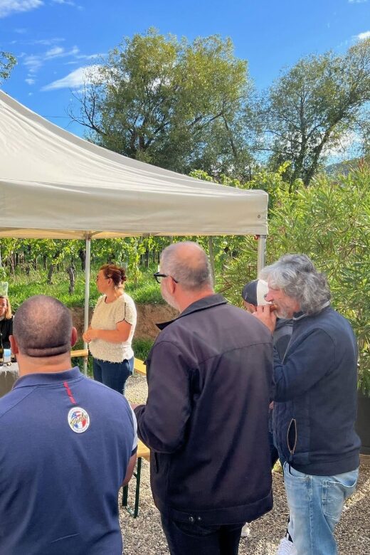 Dare to Alsace Wine with a Feminine Touch - Who Should Consider This Tour?