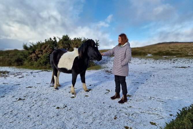 Dartmoor Tour - Key Points