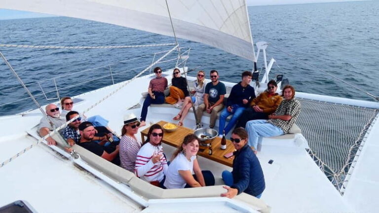 Day cruise on a maxi-catamaran in Quiberon Bay - The Journey to the Island